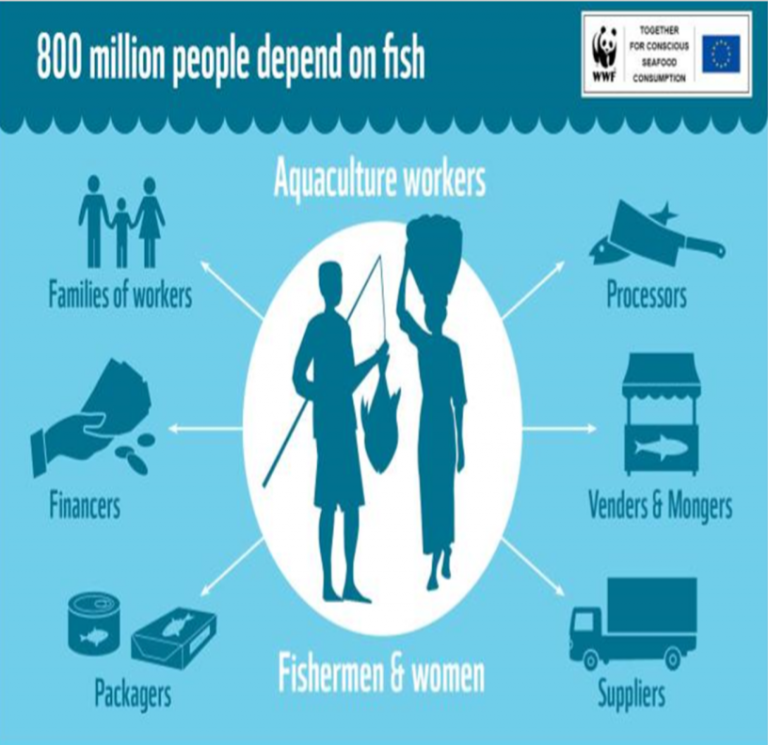 WWF-Philippines | Fish Forward