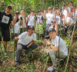WWF-Philippines | Ipo Watershed