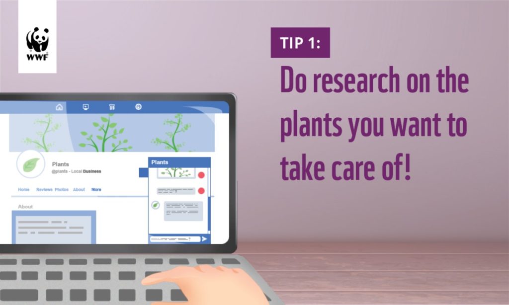 WWF-Philippines | Five Ways to Be A Responsible Plant Owner