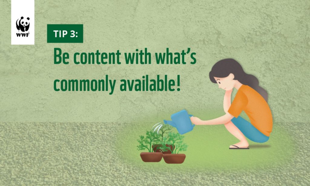 WWF-Philippines | Five Ways to Be A Responsible Plant Owner