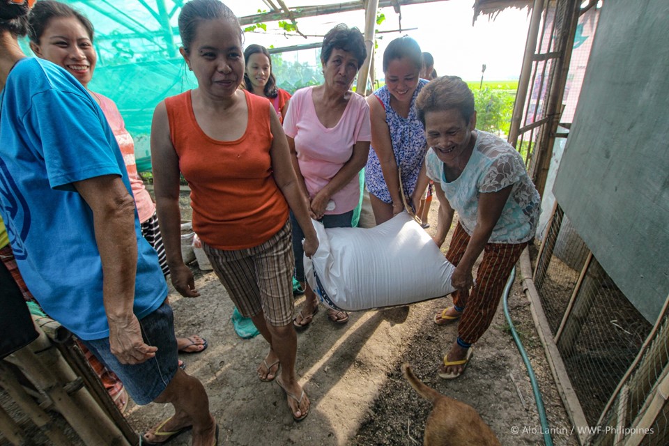 WWF-Philippines (Support) | Food Sheds Are Helping Negrense Farmers ...