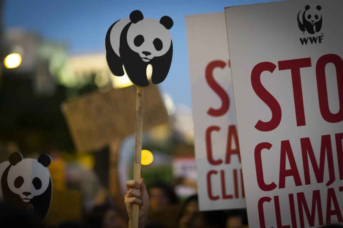 WWF-Philippines (Support) | WWF-Philippines: COP 26 is one of our final ...