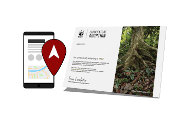 WWF-Philippines | Adopt a Tree